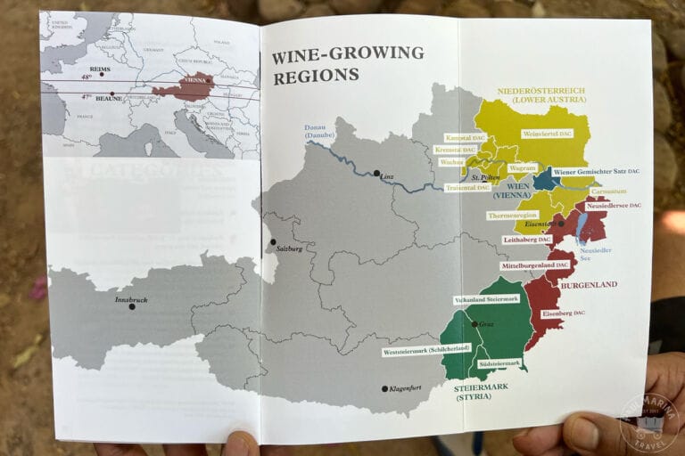 Austrian Wine: 2024 Trends + Terms Explained