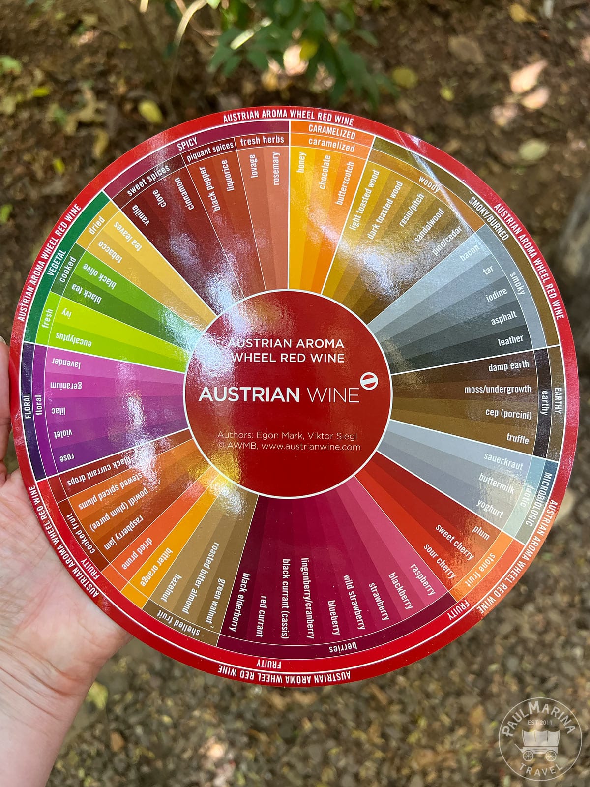 Austrian Wine: 2024 Trends + Terms Explained