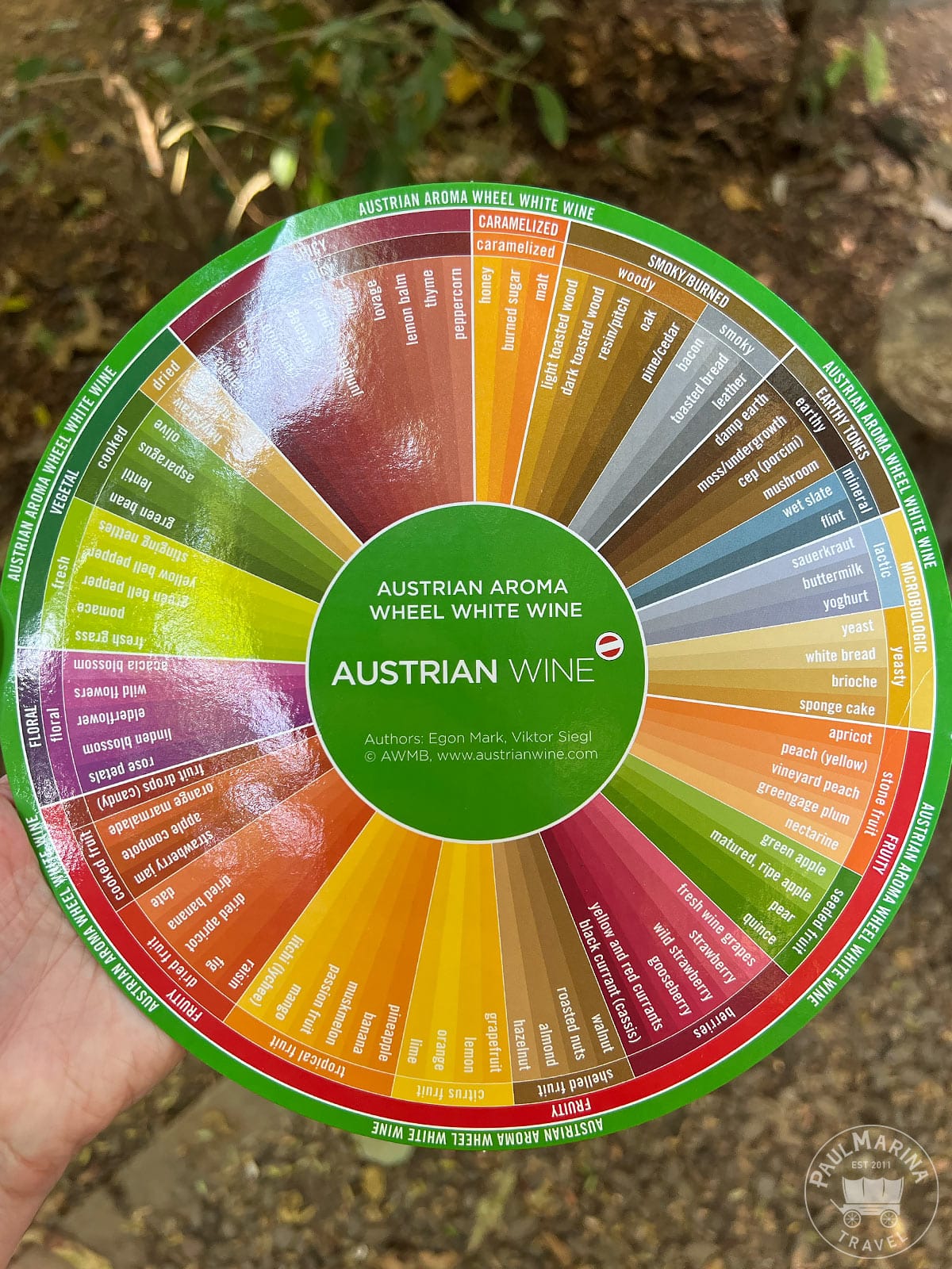 Austrian Wine: 2024 Trends + Terms Explained