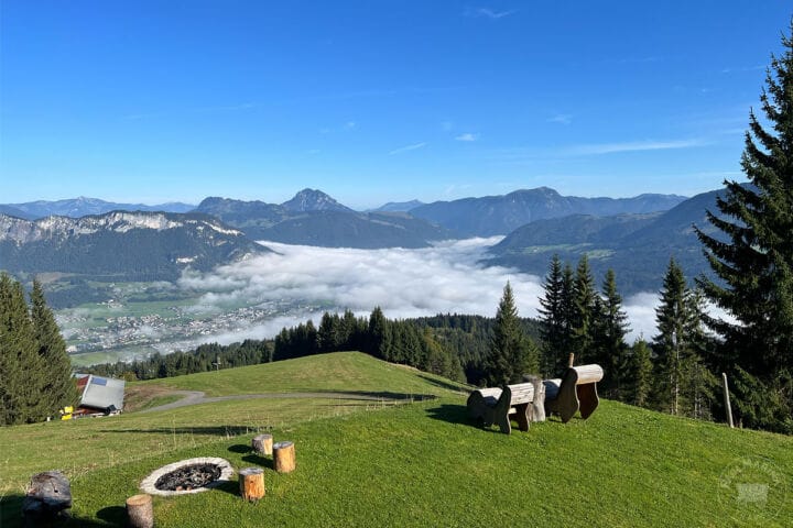 Almabtrieb: Experience Traditional Austrian Cattle Drive