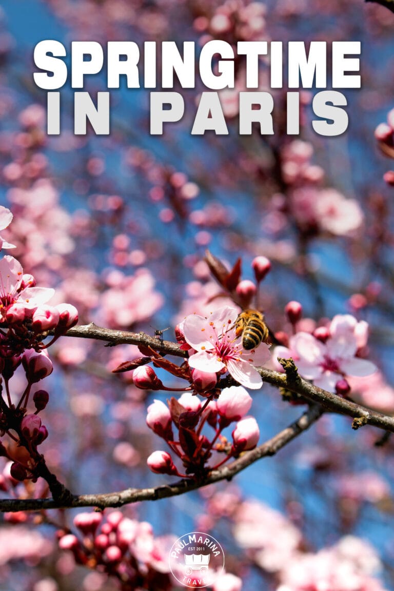 Springtime In Paris: When To Visit, What To Pack, And What To See